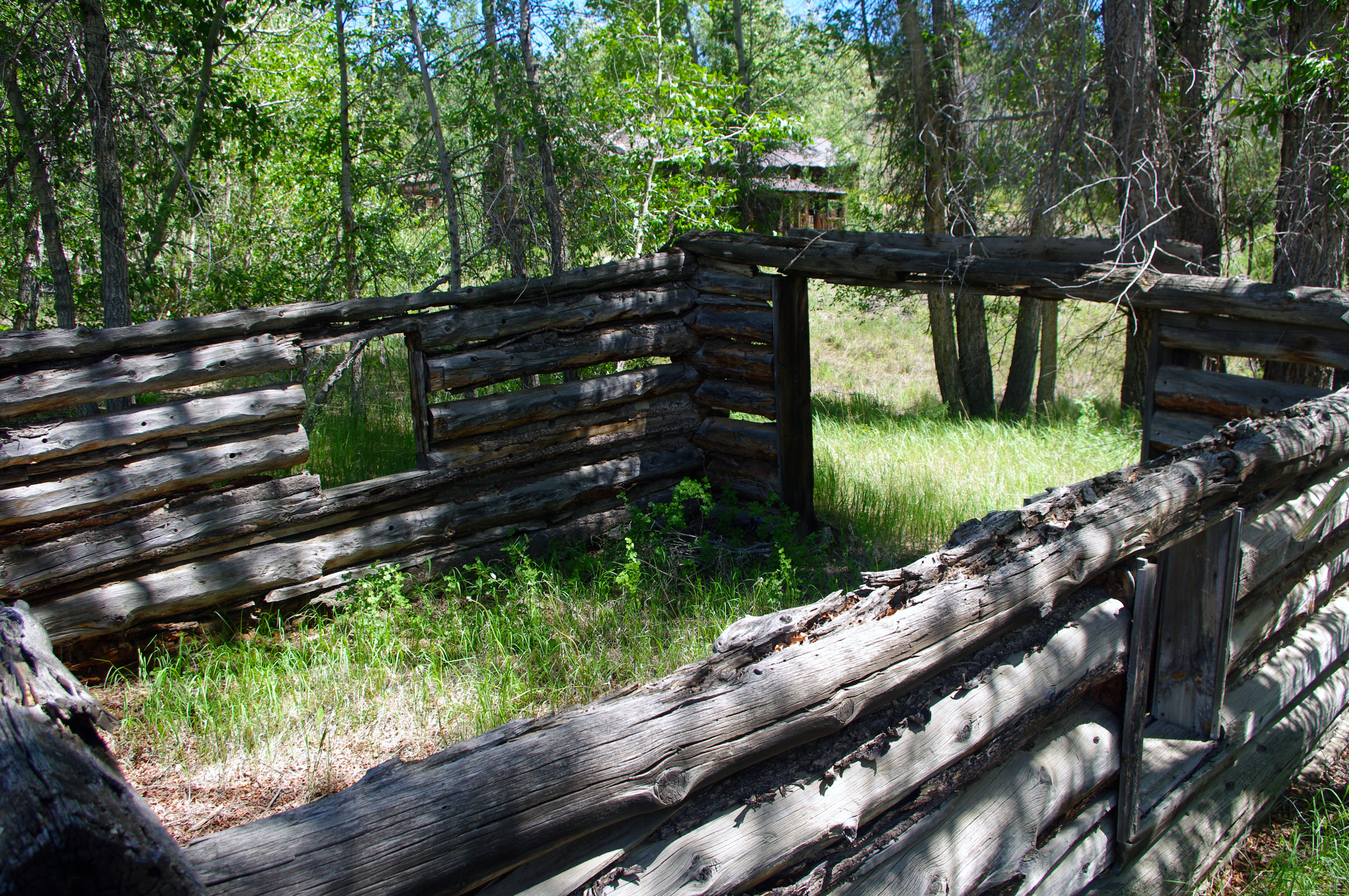Turret Colorado Ghost Town Log Cabin Remains | photoindex